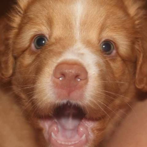 Иконка канала ЕленаА