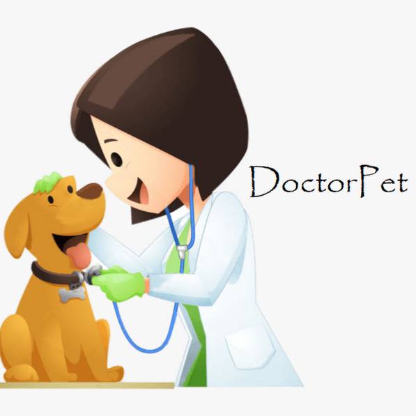 Иконка канала DoctorPet2022