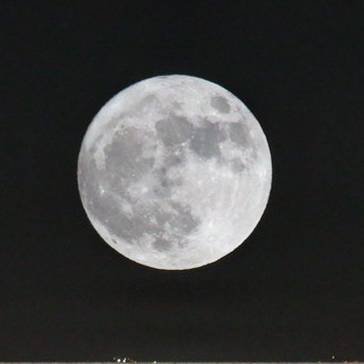 Иконка канала MMG