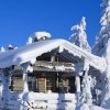 Иконка канала Зимний Дом - https://winterhouse.ru/