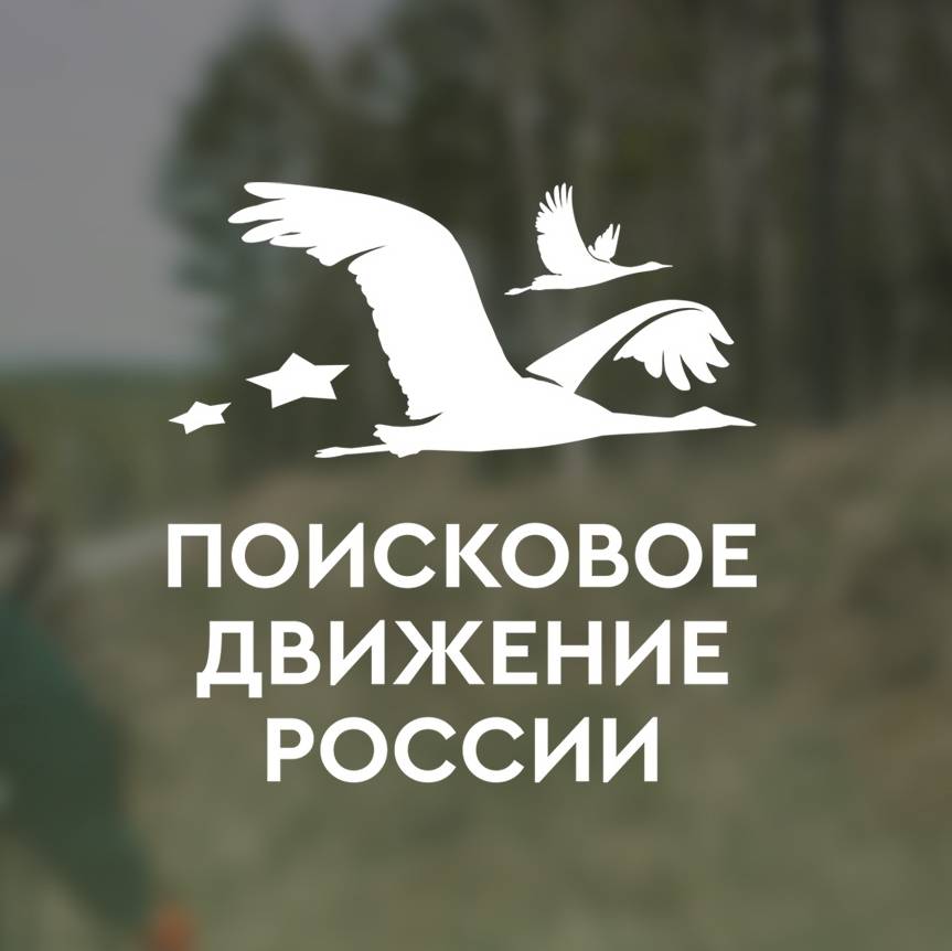 Иконка канала Поисковое движение России