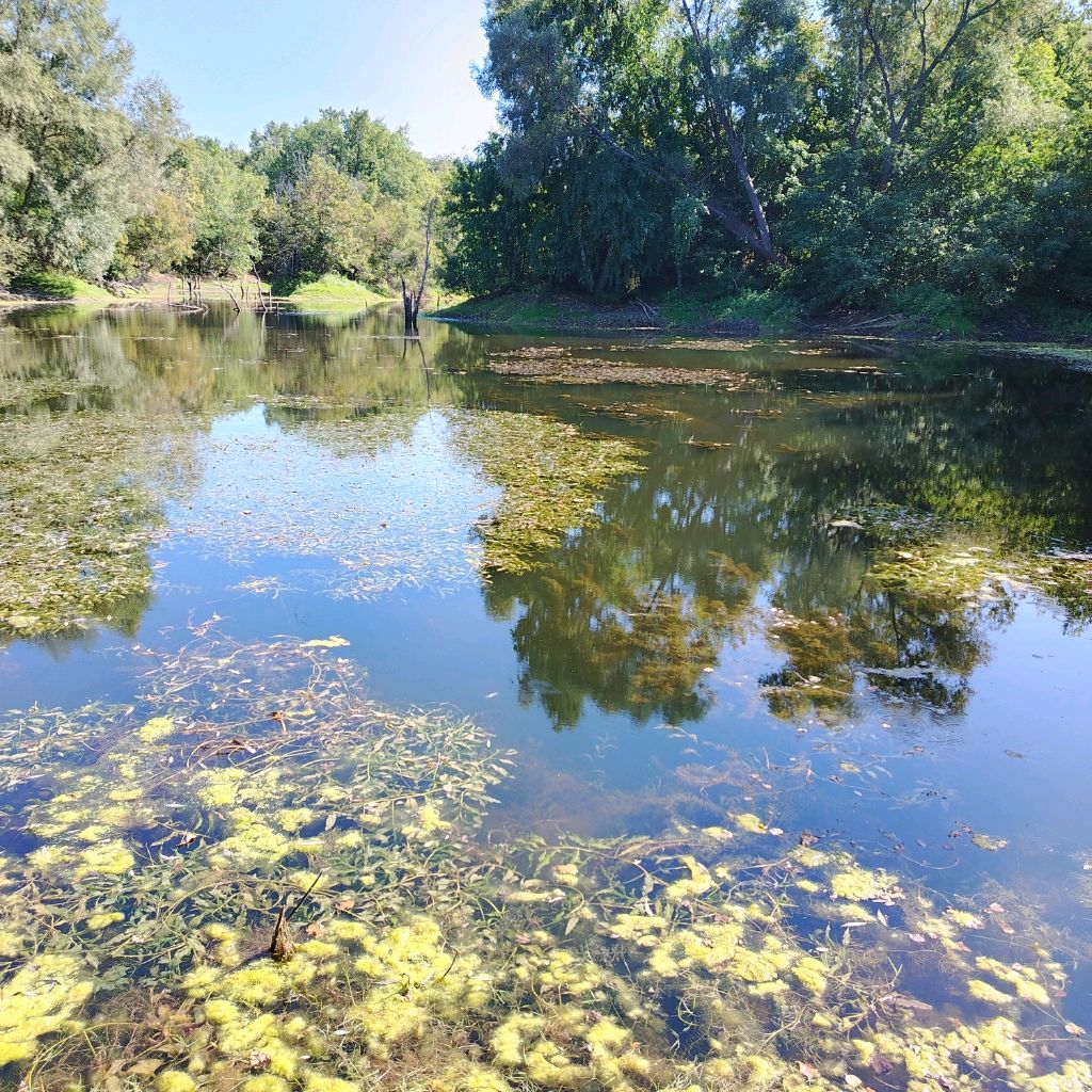 Иконка канала channel43714195