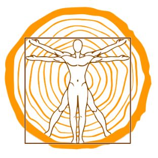 Иконка канала Позин Проект- Дома и Бани из Кедра