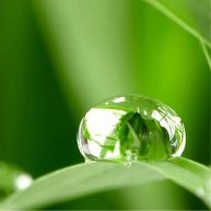 Иконка канала Группа клиник "Вектор" и "Градиент"