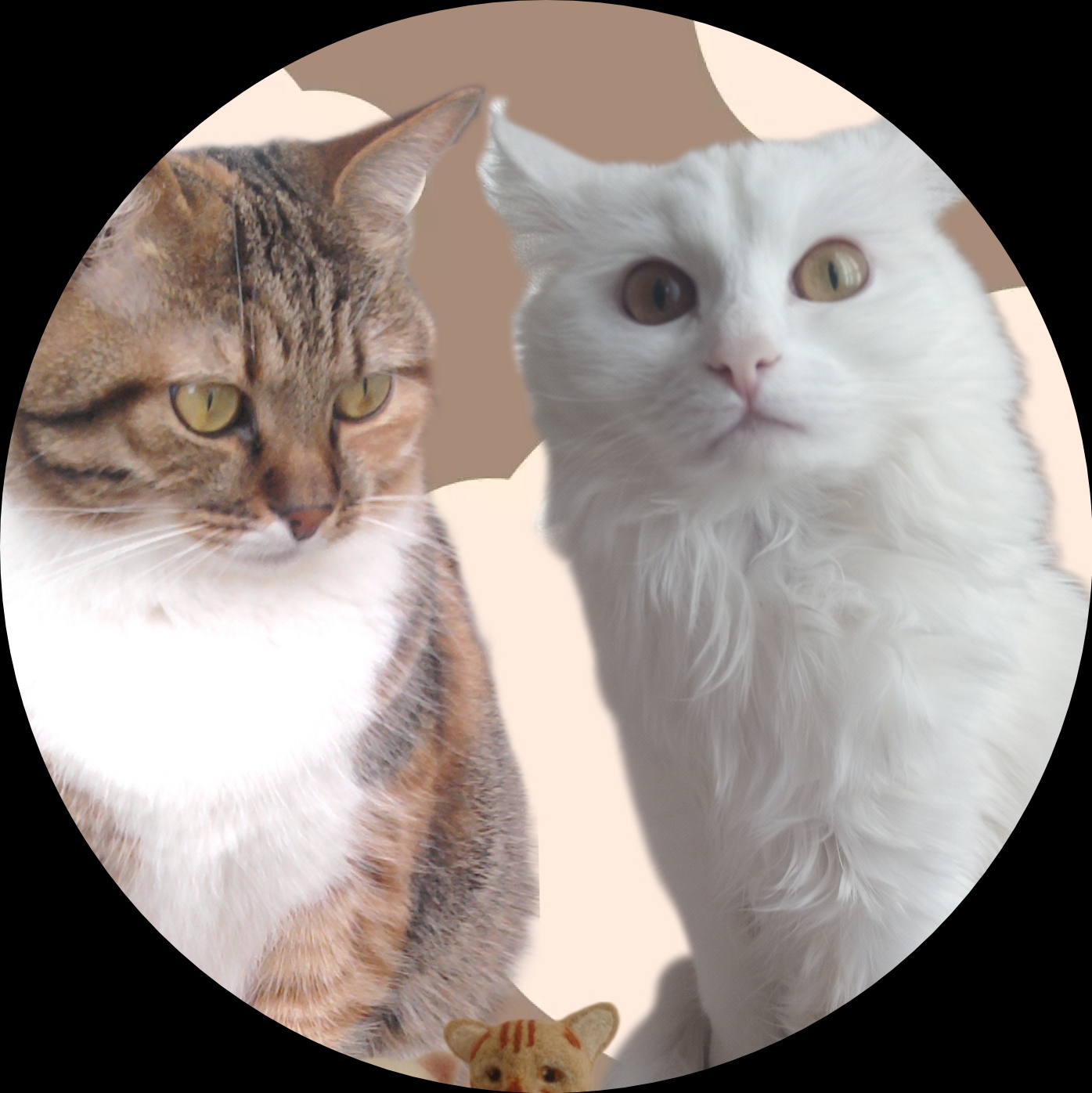 Иконка канала Пушистые друзья