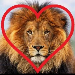 Иконка канала channel36005008