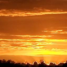 Иконка канала Музыка вашей жизни. Медитация, релакс и покой.