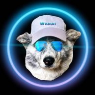 Иконка канала Wakai Аkita