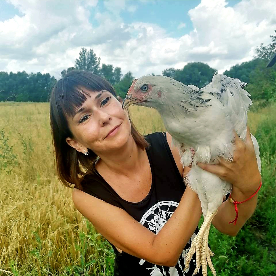 Иконка канала Куриный день "ЗаКурДень"🐥