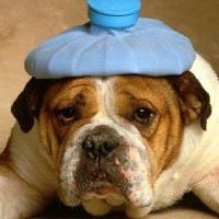 Иконка канала ArtikS17