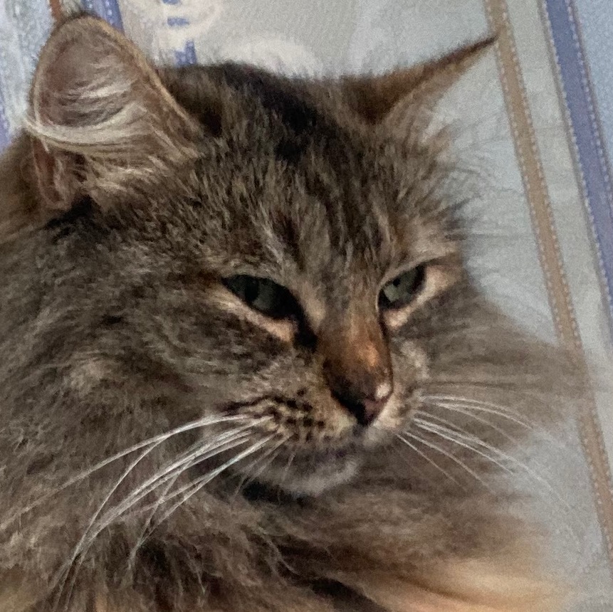 Иконка канала Dany337