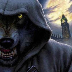 Иконка канала fluffy_motorist