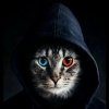 Иконка канала Doberman