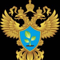 Иконка канала Экологическая безопасность Невского края