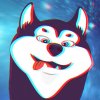 Иконка канала ДОГА ДОГ (DOGA DOG)