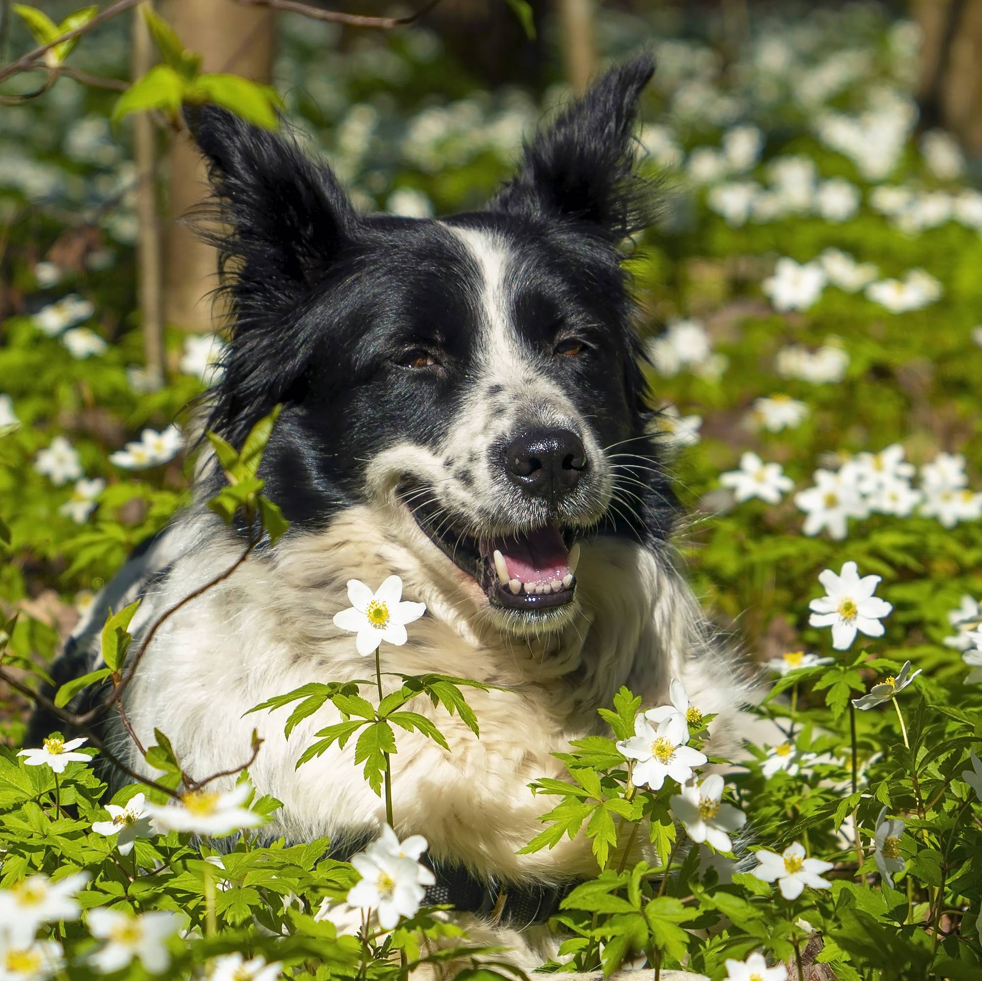 Иконка канала Марси