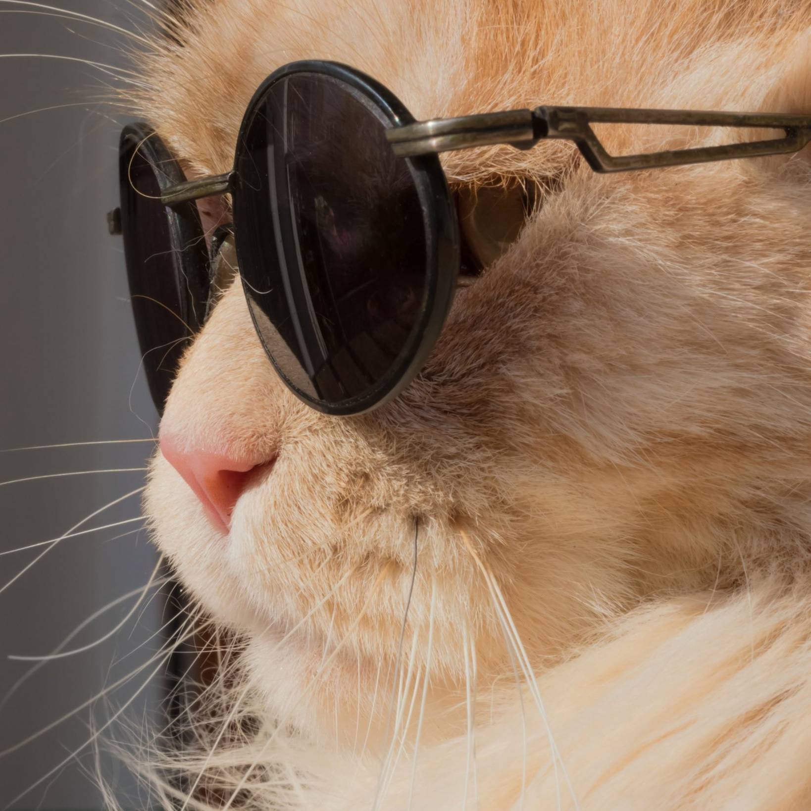 Иконка канала О том О сём