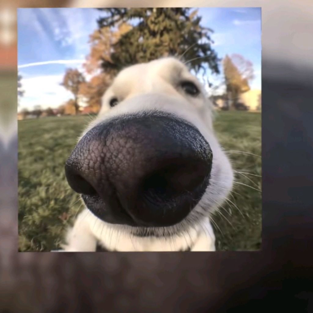 Иконка канала iskis