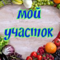 Иконка канала Мой участок