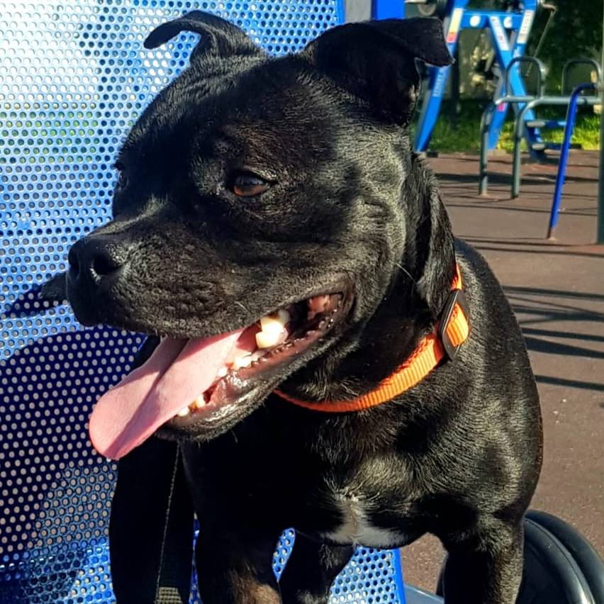 Иконка канала ТОТОпродакшн