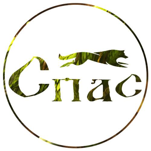 Иконка канала spasist