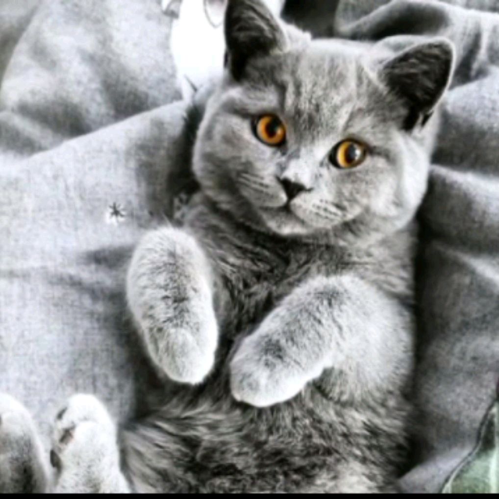 Иконка канала Тимофей фёдоров