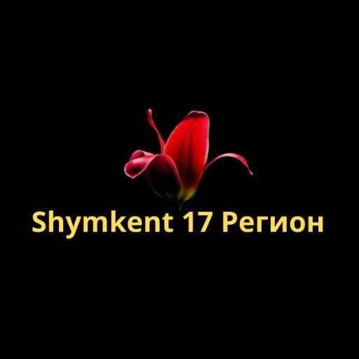 Иконка канала Shymkent 17 Регион