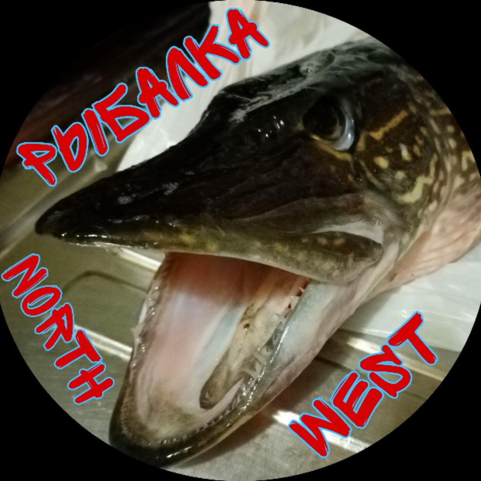 Иконка канала РЫБАЛКА NORTH-WEST
