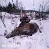Иконка канала Дикий  Борисыч.