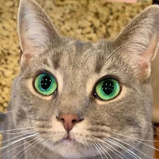 Иконка канала Kasperski