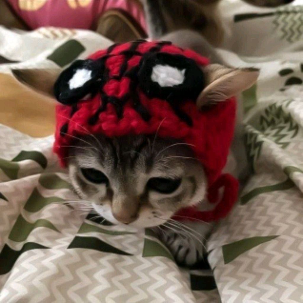 Иконка канала SpuLae