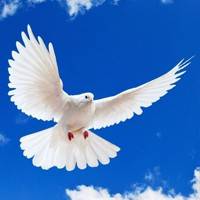 Иконка канала Русское Небо.