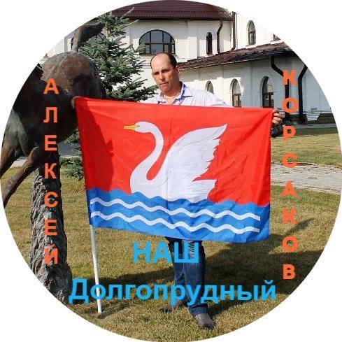 Иконка канала Родной Долгопрудный