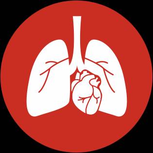 Иконка канала РосЭКМО