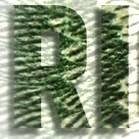 Иконка канала RIGOFF