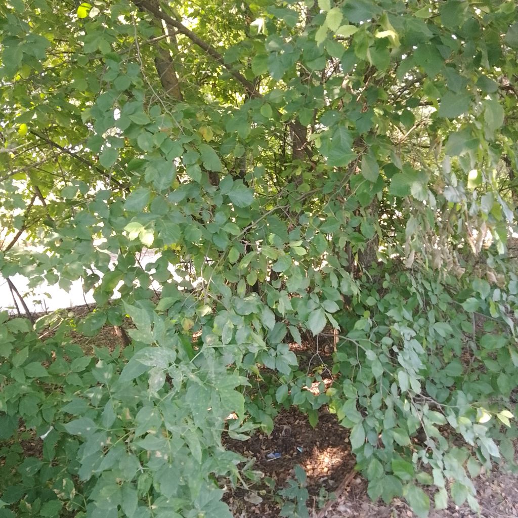 Иконка канала 4мин.