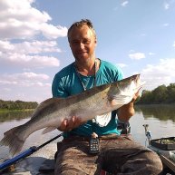 Иконка канала Подсадные утки. Андрей Лабецкий.