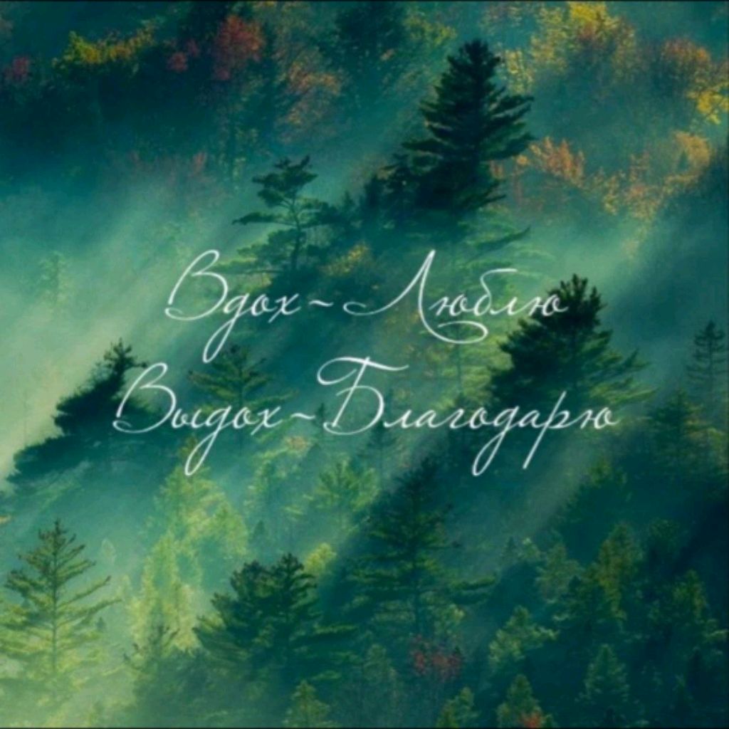 Иконка канала Herbs and Flowers