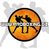 Иконка канала Proboxing.cz