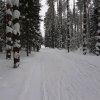 Иконка канала Александр