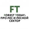 Иконка канала «Лес Сегодня» – о лесе и лесном секторе