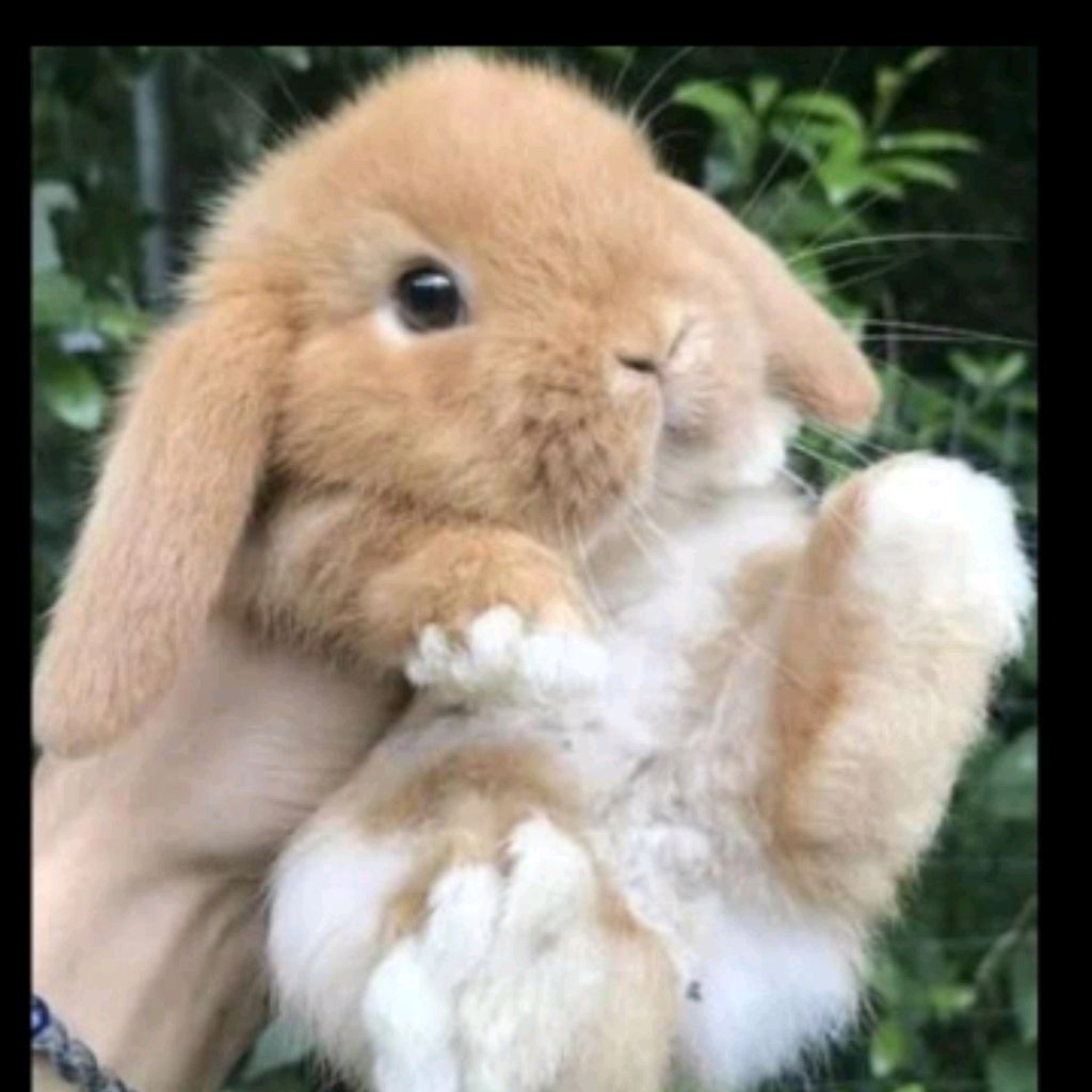 Иконка канала channel38229371