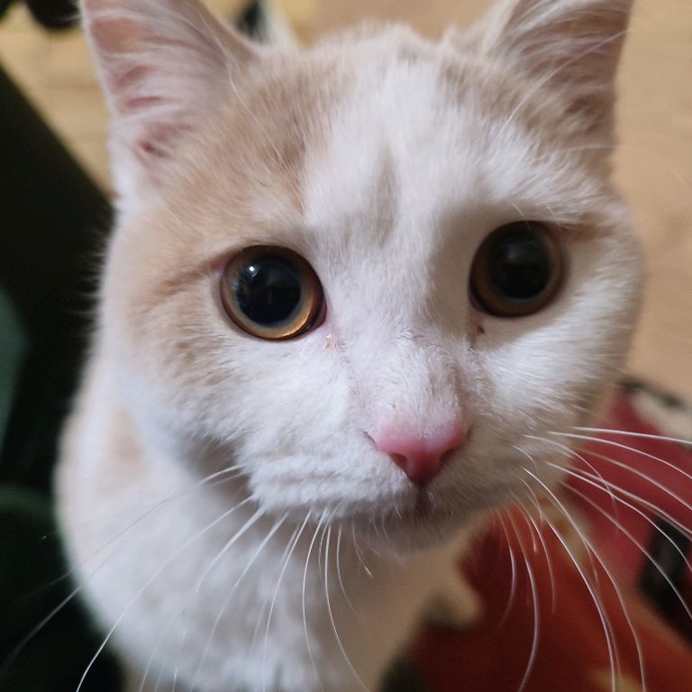 Иконка канала Zubarev