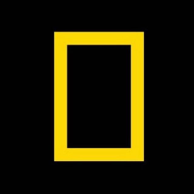 Иконка канала National Geographic