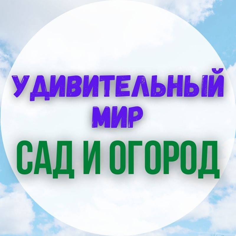 Иконка канала Удивительный Мир!