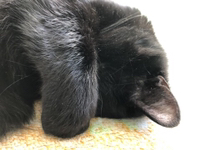 Иконка канала Давеча, таперича.