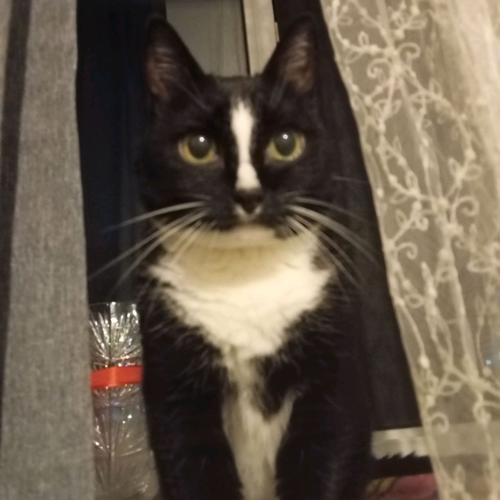 Иконка канала Животный дом