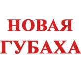 Иконка канала newgubakha
