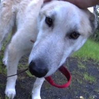 Иконка канала lobanuk