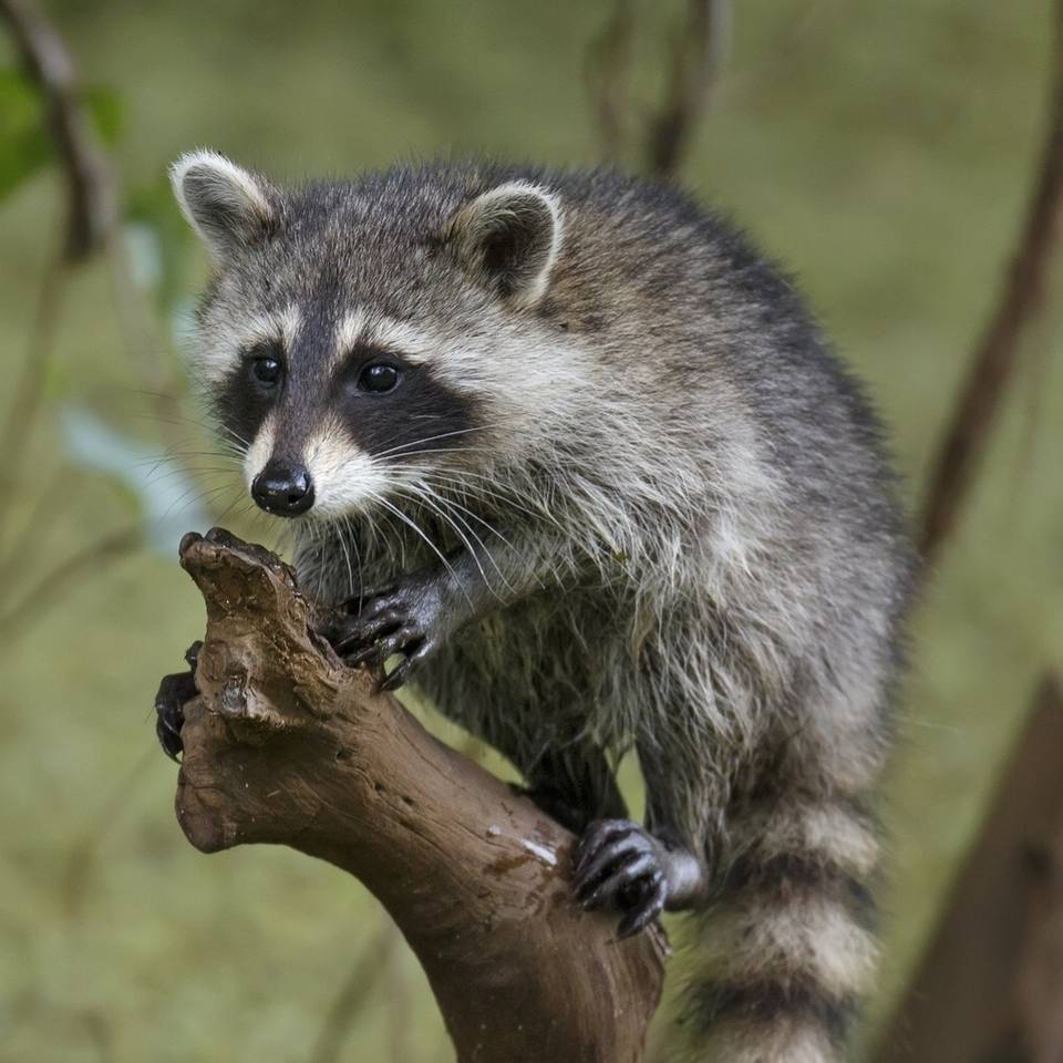 Иконка канала Алекс Х...